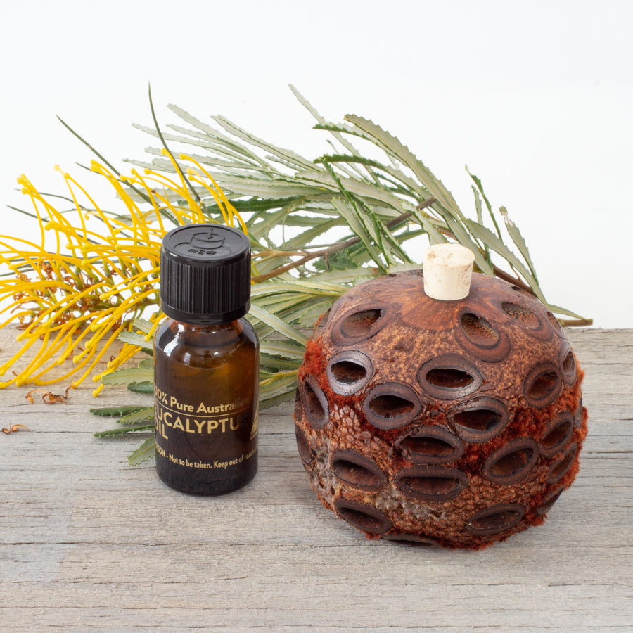 Buy Handmade Australian Banksia Scent Pots Online – Australian Woodwork