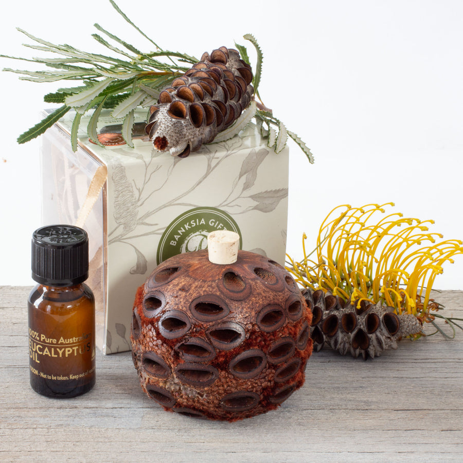 Buy Handmade Australian Banksia Scent Pots Online – Australian Woodwork